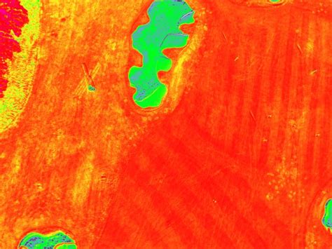 Drone Mapping Multispectral Ai Landscape Sl International