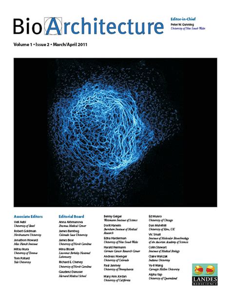 Regulation Of Localization And Activity Of The Microtubule Depolymerase Mcak Bioarchitecture