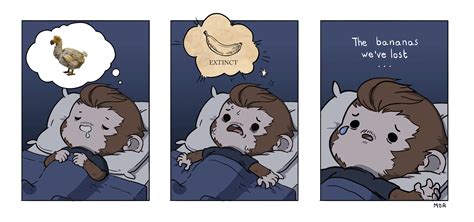 4462 Best Monke Images On Pholder Trash Taste Ape And Monke