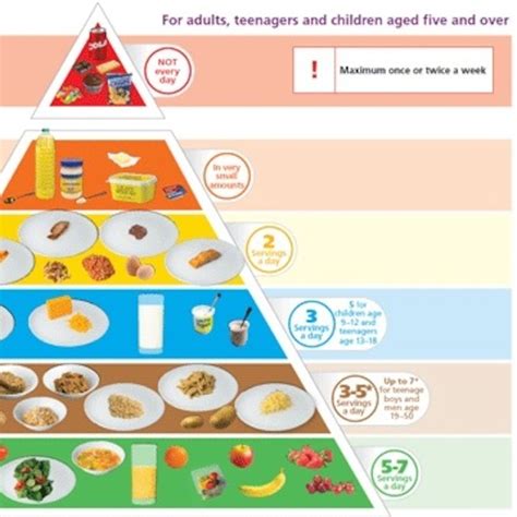 Why The 1970s Food Pyramid Doesnt Apply Today — Mccohn 40 Off