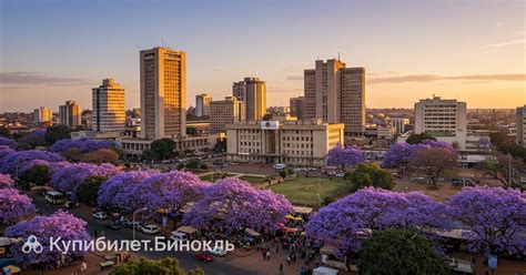 Harare Travel Guide Sights Hotels And Local Tips