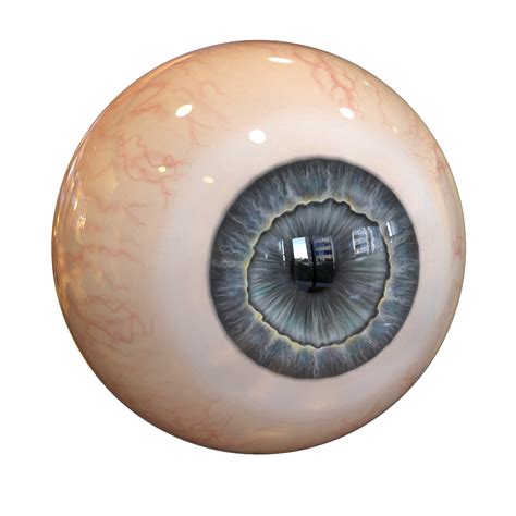 Eye Iris 3d Model 1148149 Turbosquid