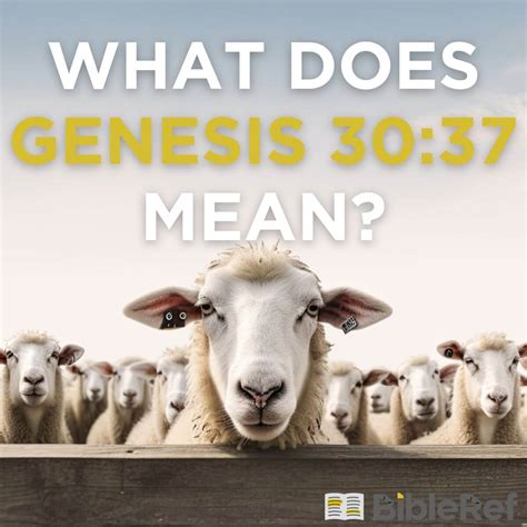 What Does Genesis 3037 Mean