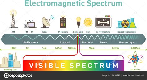 Electromagnetic Spectrum Infographic Diagram Stock Vector Image By