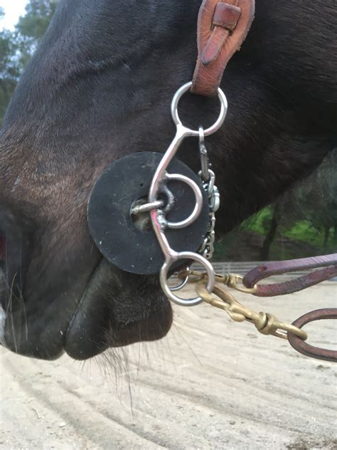 Pre Order Ed And Martha Wright Locked Shanked Bit Chasing Time Tack