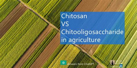 Chatgpts Summaries About Chitosan Oligosaccharide