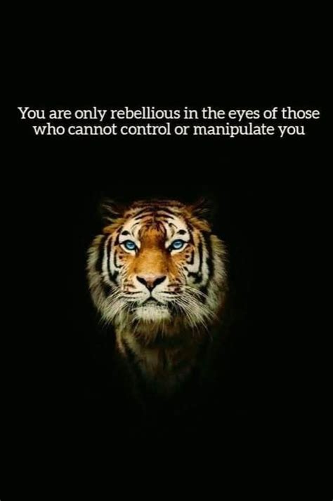 Mindset Quotes Inspiration Lion Quotes Eye Of The Tiger Quotes
