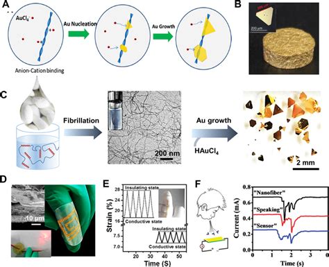 A Illustration Of The Pathway Followed To Prepare Macroscopic Download Scientific Diagram