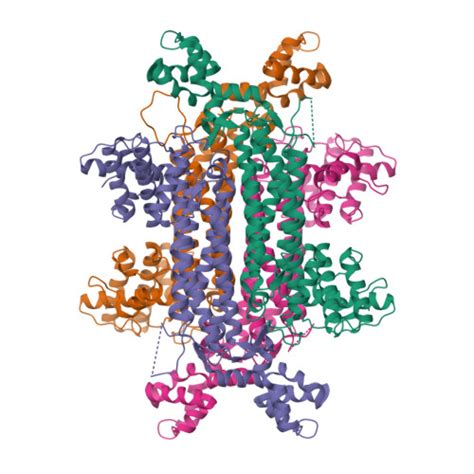 Rcsb Pdb 3qbp Crystal Structure Of Fumarase Fum From Mycobacterium Marinum