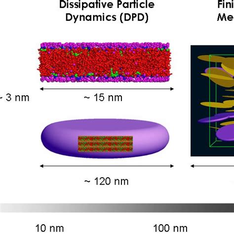 Multiscale Molecular Modeling Approach For Polymerclay Nanocomposites
