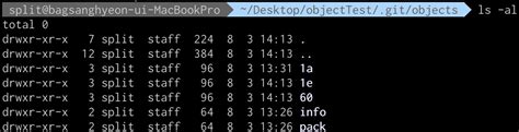insufficient permission for adding an object to repository database 오류