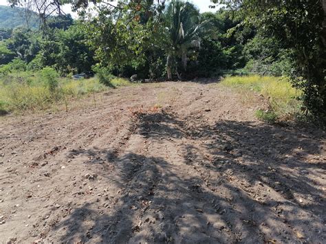 Fraccionamiento Las Mariposas