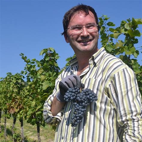 Weingut Walter Wien