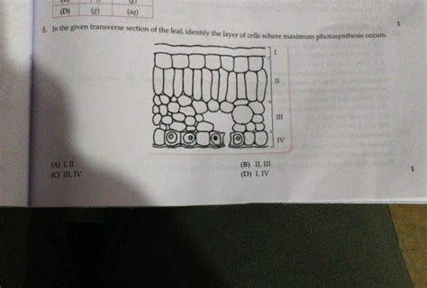 8 In The Given Transverse Section Of The Studyx