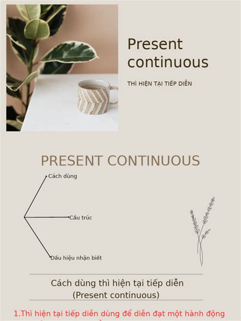 Present Countinous Pdf