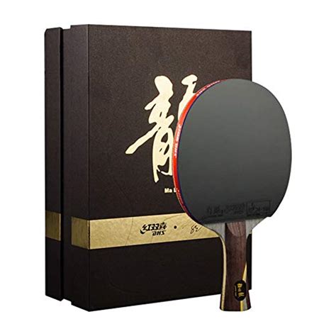 Racchetta Da Ping Pong Professionale I Top 6 Modelli Da Pro