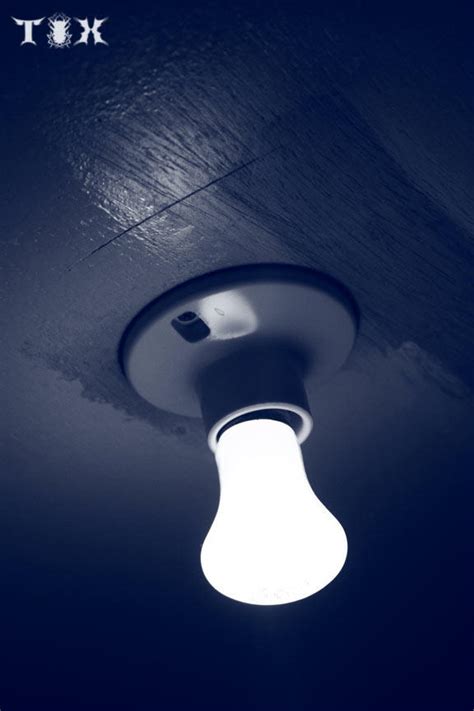 Bumbilya By Gnuhm On Deviantart