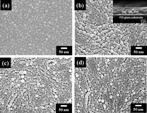 Sem Microstructure Of The Various Prepared Tio2 Films A Pure B Cnc Download Scientific