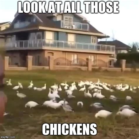 Meme Imgflip