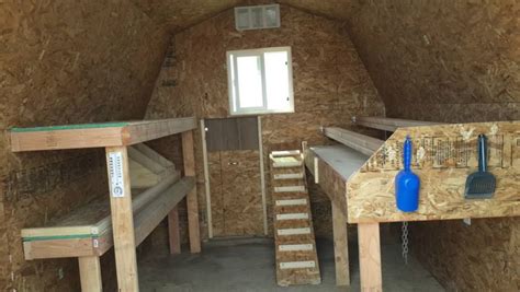 Diy Chicken Coop With Bunk Beds