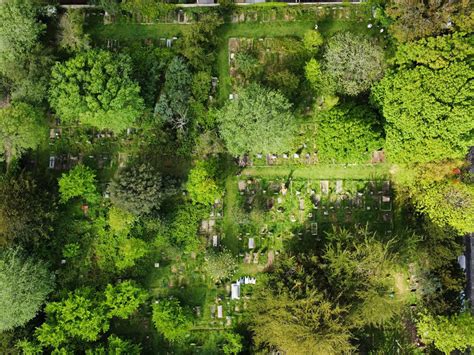 Tree Festival 2025 Cpre Sussex