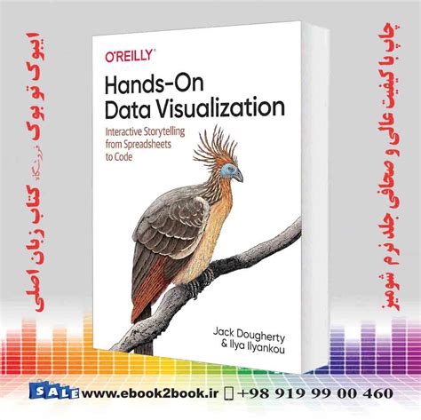 Hands On Data Visualization Interactive Storytelling From Spreadsheets To Code فروشگاه کتاب