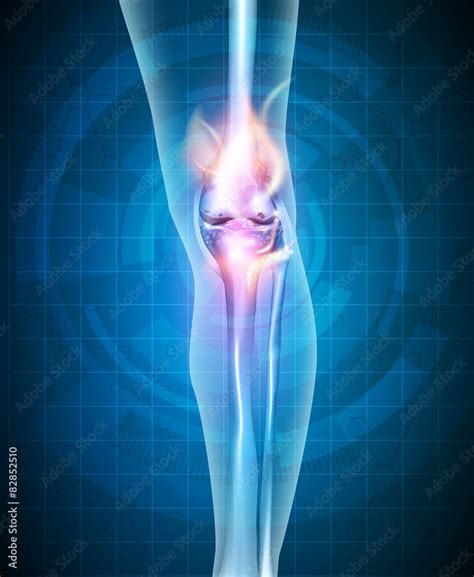 Normal Synovial Joint Anatomy Healthy Joint Detailed Illustrati Stock