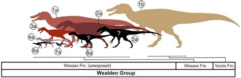 A New Theropod Dinosaur Assemblage From The Older Part Of The English