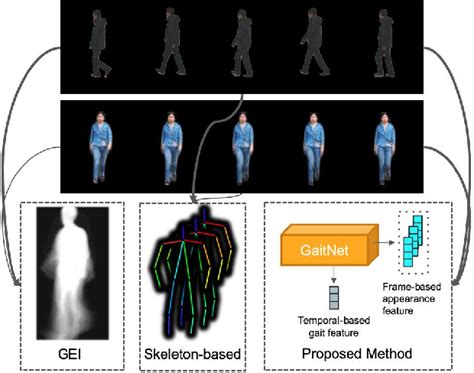 Figure From Gait Recognition Via Disentangled Representation Learning Semantic Scholar
