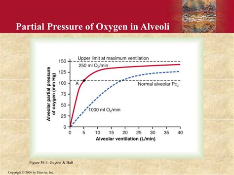 Ppt Factors Influencing Gas Diffusion Rate In Alveoli And Ventilation