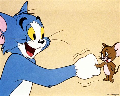 Tom And Jerry Cartoon Cat And Mouse Treaty 2k Wallpaper Download