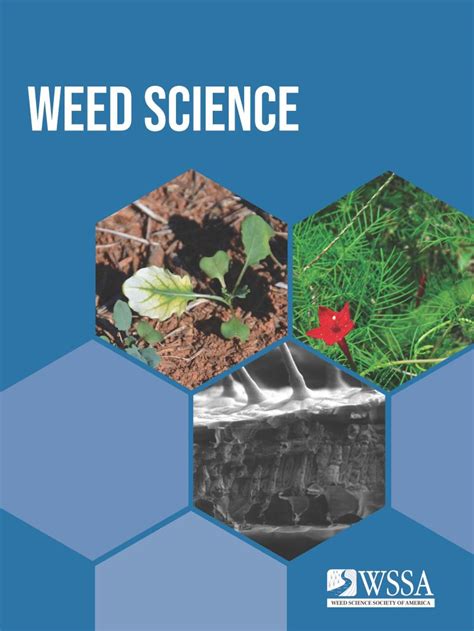 Protoporphyrinogen Oxidase Ppo Inhibitor Resistance In Kochia Bassia