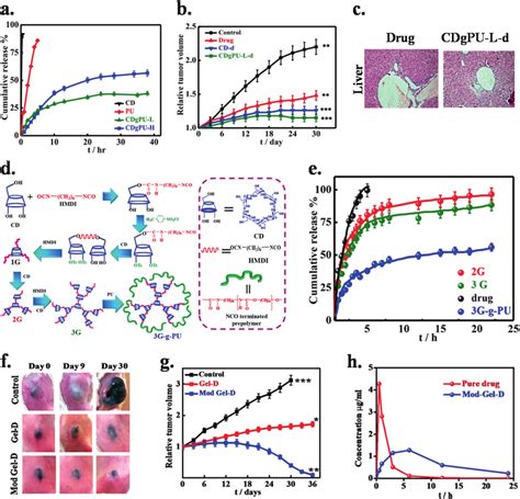 Different Polymeric Architectures For Controlled Release And Tumor