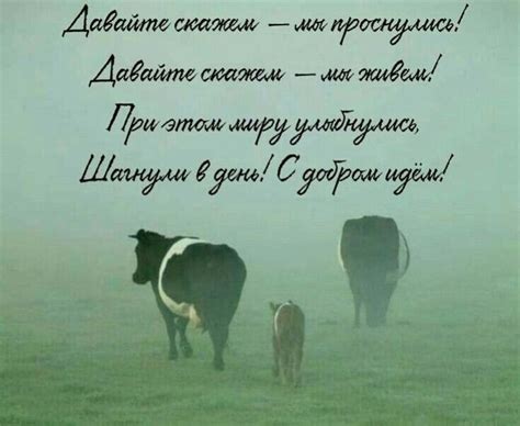 Пин от пользователя Оксана на доске животные | Доброе утро, Цитаты, Мир