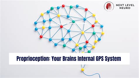 Proprioception Your Brains Internal Gps System