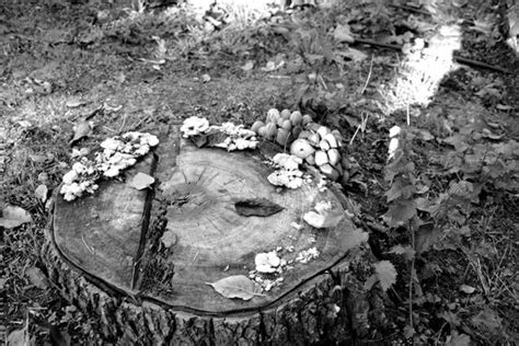 「tocon」の写真素材 136件の無料イラスト画像 Adobe Stock