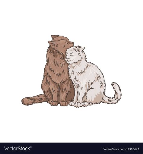 Two Cats Hugging Drawing