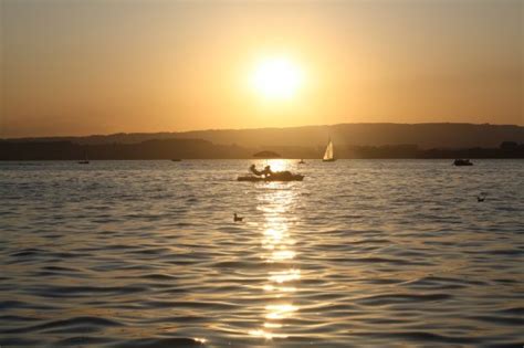 Hannah Roach Hannahroachart Twitter