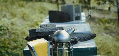 Essential Equipment For Beekeeping The Journey Of A Beekeeper