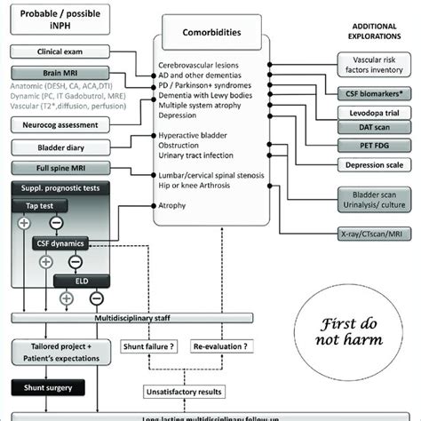Optimal Inph Management Flowchart Csf Biomarkers T Tau P Tau And A Download Scientific