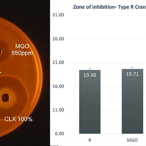 Well Diffusion Assay Cranberry Type R And Mgo A Well Diffusion Assay Download Scientific