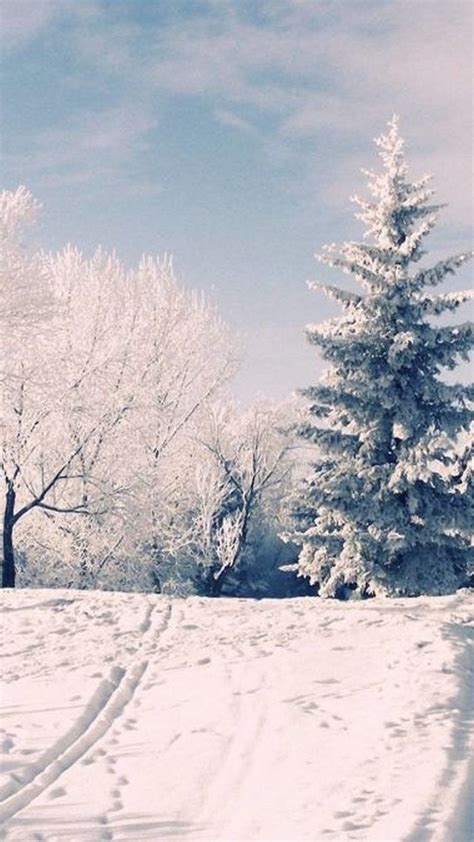 Winter Aesthetic Iphone 12 Wallpaper Hd Phone By Scandaluz