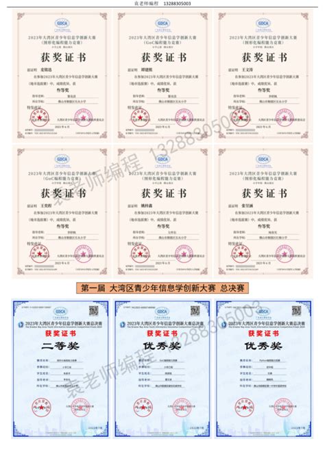 帅爸编程（袁老师） 零基础学scratch Python C