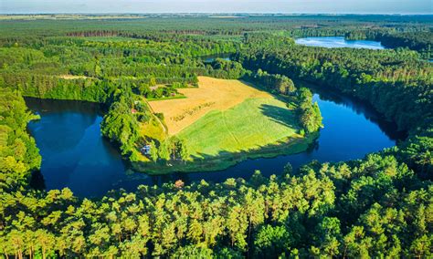 Białowieża Atrakcje Co Warto Zobaczyć Poradnik Dla Turystów