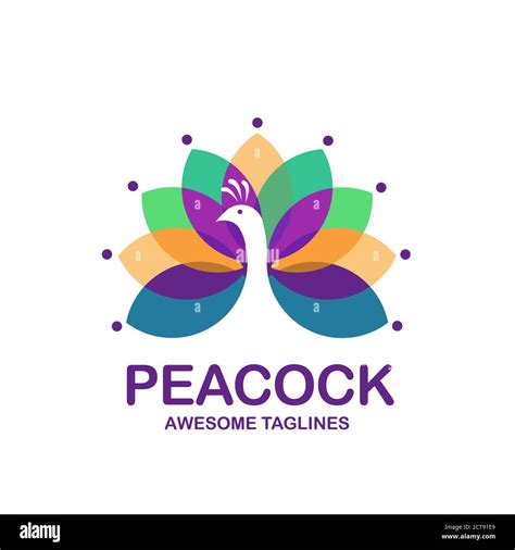 Peacock Logo Vector