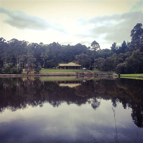 Old Vasse Trout And Marron Farm Pemberton All You Need To Know