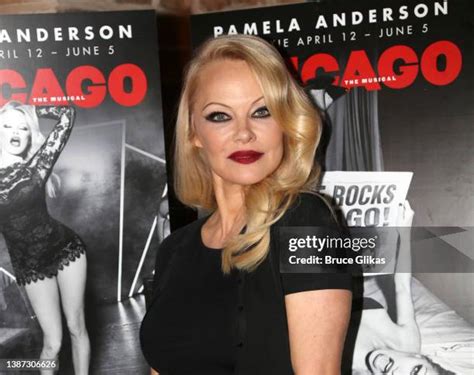 Pamela Anderson Photo Shoot Photos And Premium High Res Pictures