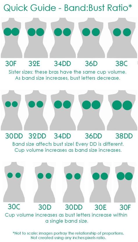 Diy Fashion Bra Measuring Guide Bra Measuring Chart Bra Sizing