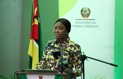 “desflorestação Leva à Emissão De 40 Milhões De Toneladas De Gases Com