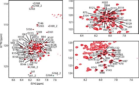 Resonance Assignment Of Map7 Mtbd Two Dimensional ¹⁵ N Trosy Hsqc Of Download Scientific